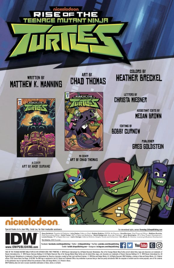LAS TORTUGAS NINJA: ROTTMNT COMICS # 2