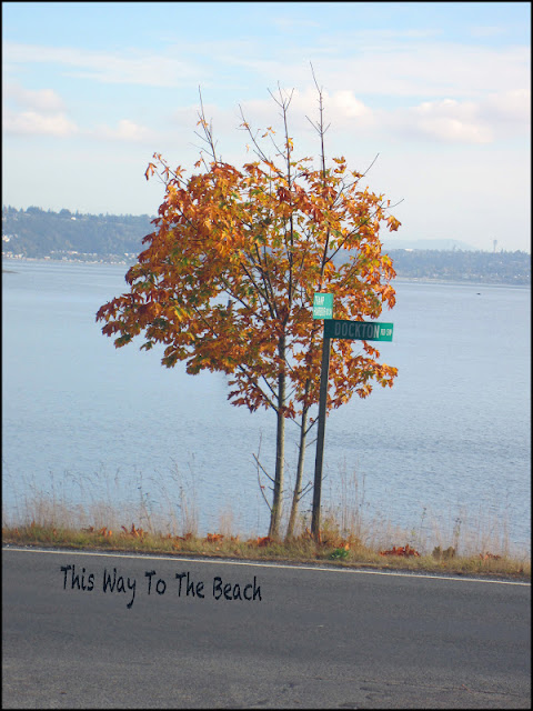 Back On The Floor Again: Autumn At The Beach