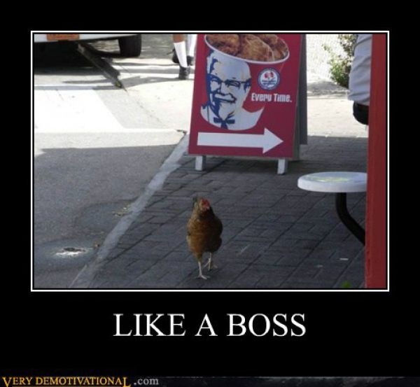 Like a boss! | SeMeAntoja.com