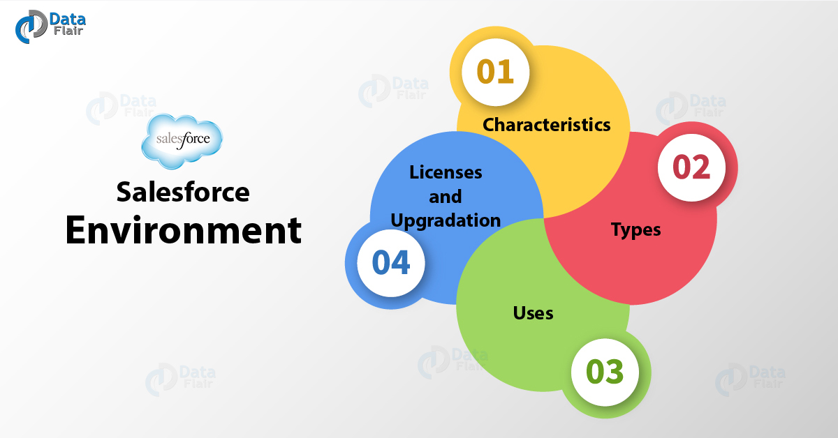 What are the significant aspects of Salesforce Environments?