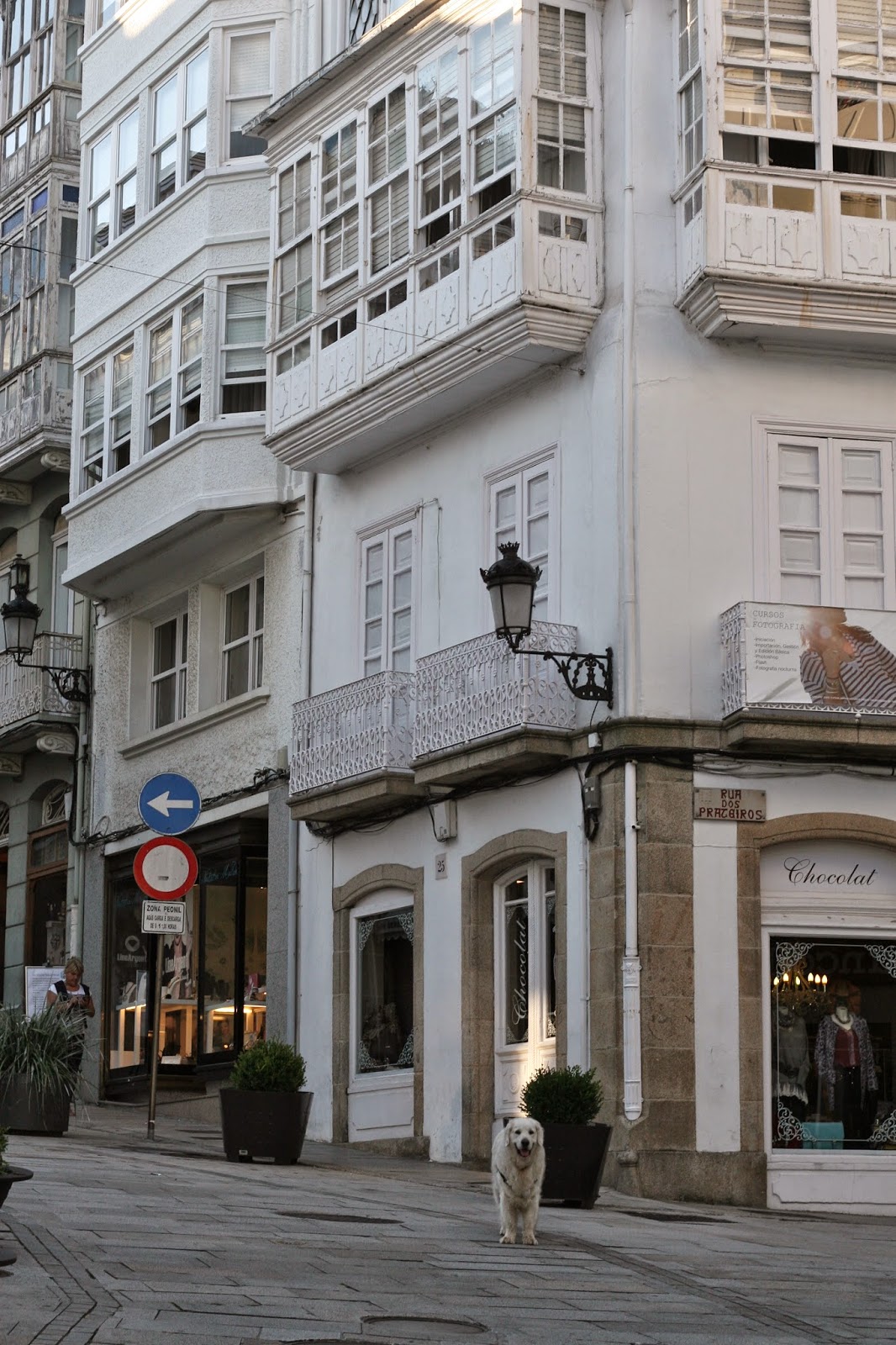Hotel El Castro 54. Sada. La Coruña. - viajes con mi perro