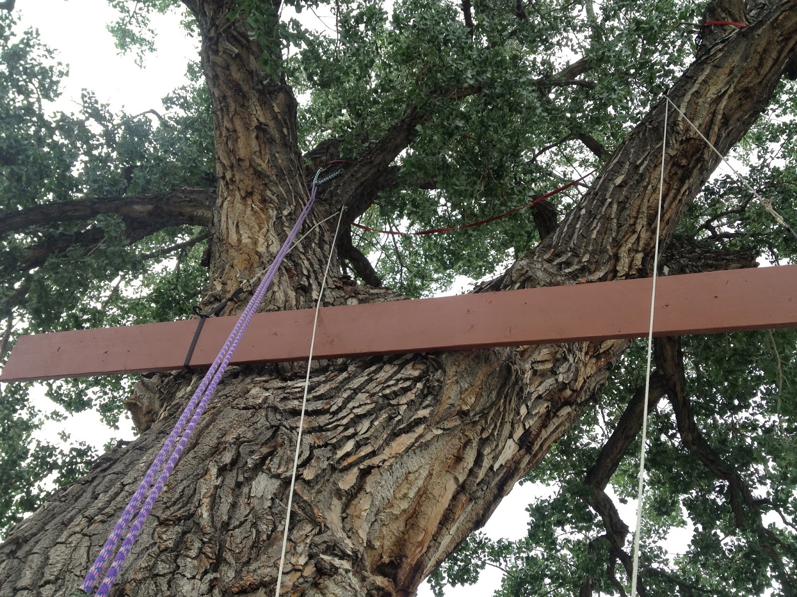 The Treehouser: Part 6: Hoisting the First Treehouse Beam