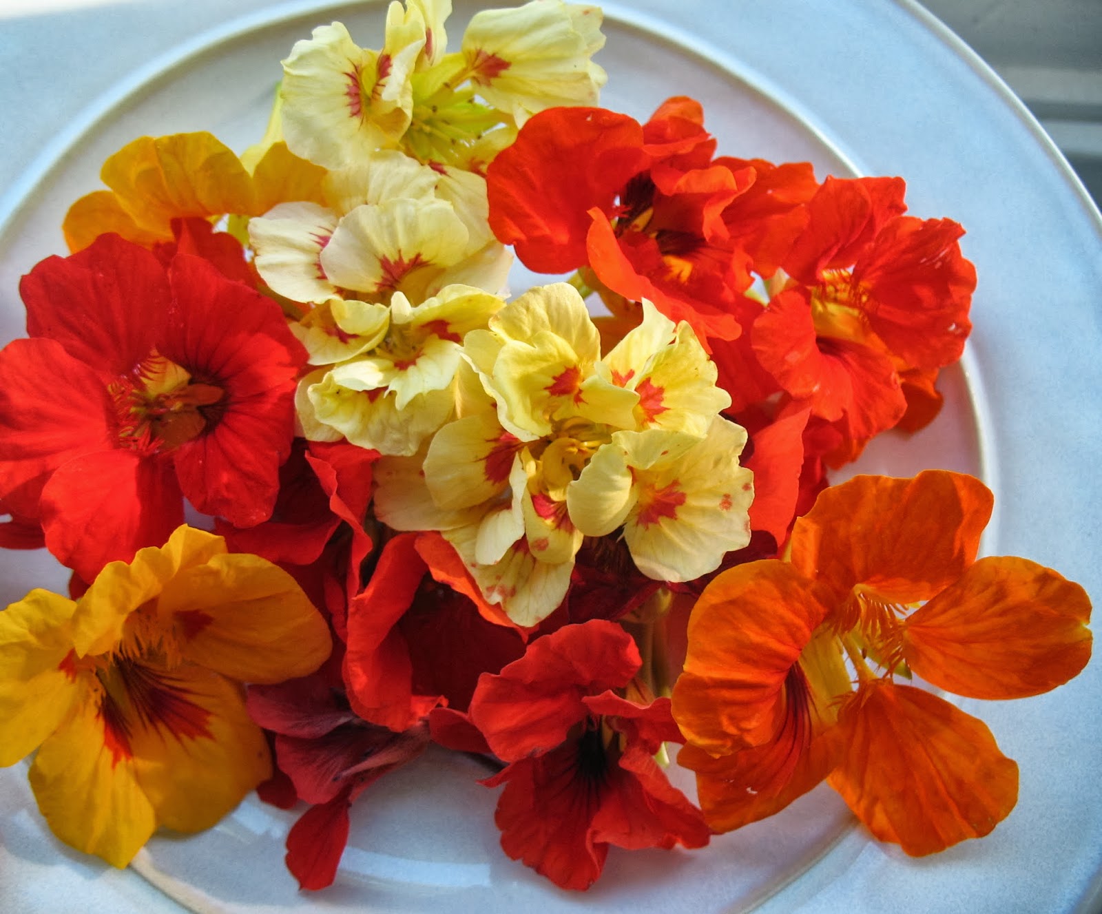 The Messy Apron: Nasturtium Vinaigrette