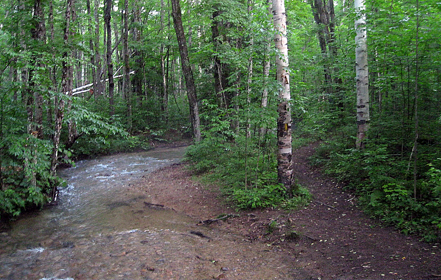 Hiking in the White Mountains: Pemi Loop: Half Run / Half Hike