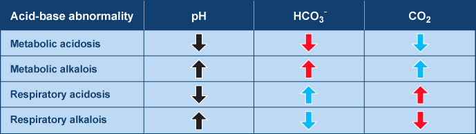 USMLE COMLEX Study Guides : First Aid Renal Physiology Part ll