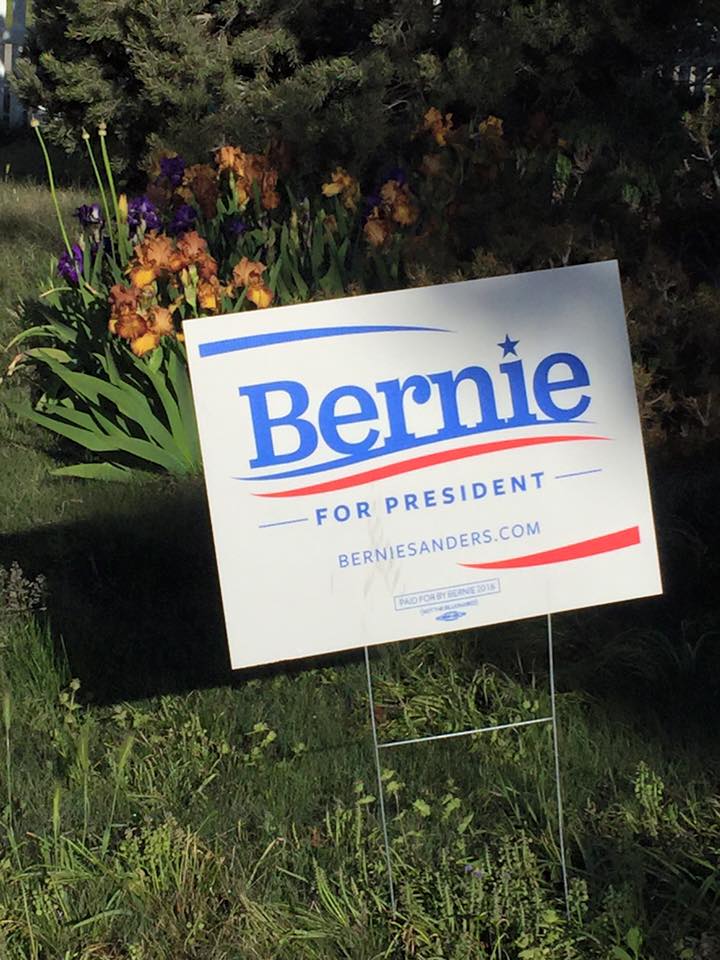 Beit Emmett: Bernie Sign Bandits