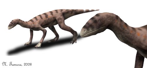Palaeocritti Blog: Sacisaurus agudoensis