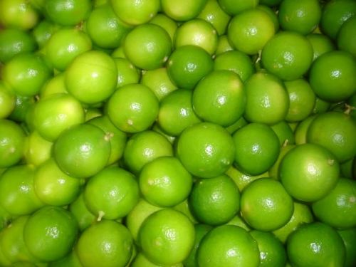 FARMA NATURA: EL LIMON PERUANO