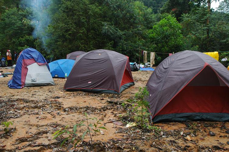 Rekreasi Asas Kehidupan: Pengenalan