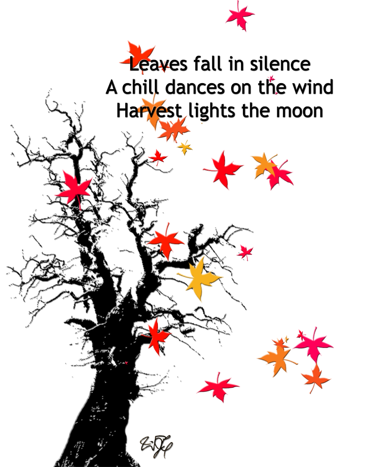 Poetry In Primary School Irish Primary Teacher poetry-in-primary-school-irish-primary-teacher