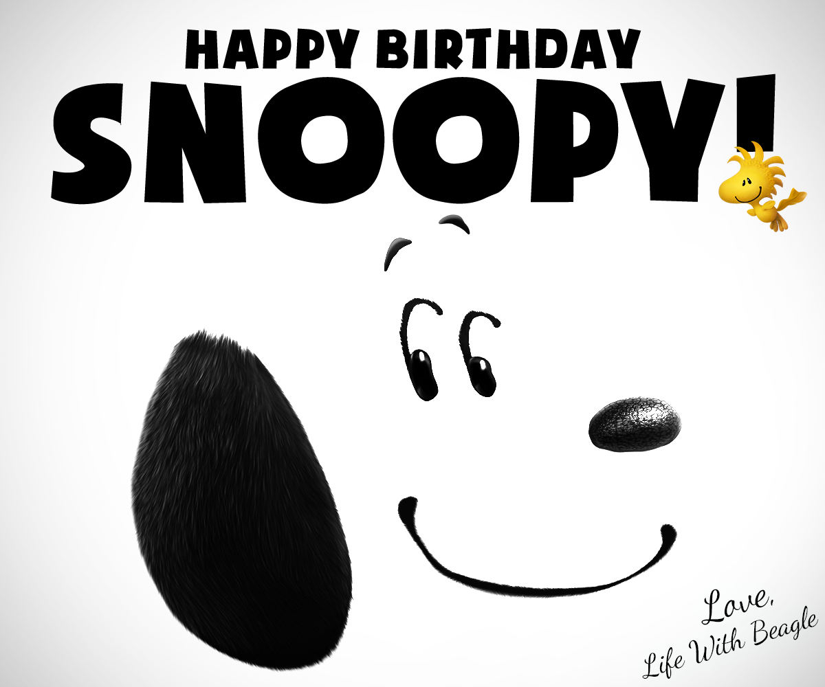 Life With Beagle: Happy birthday Snoopy! 5 things you didn't know about ...