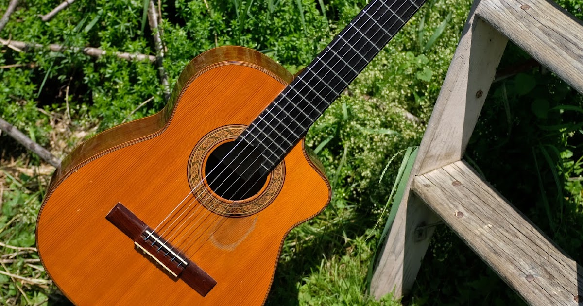 1978 Pimentel Requinto