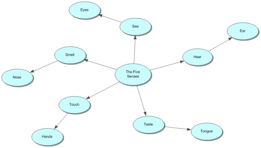 Science of 5 Senses: Lesson Plan