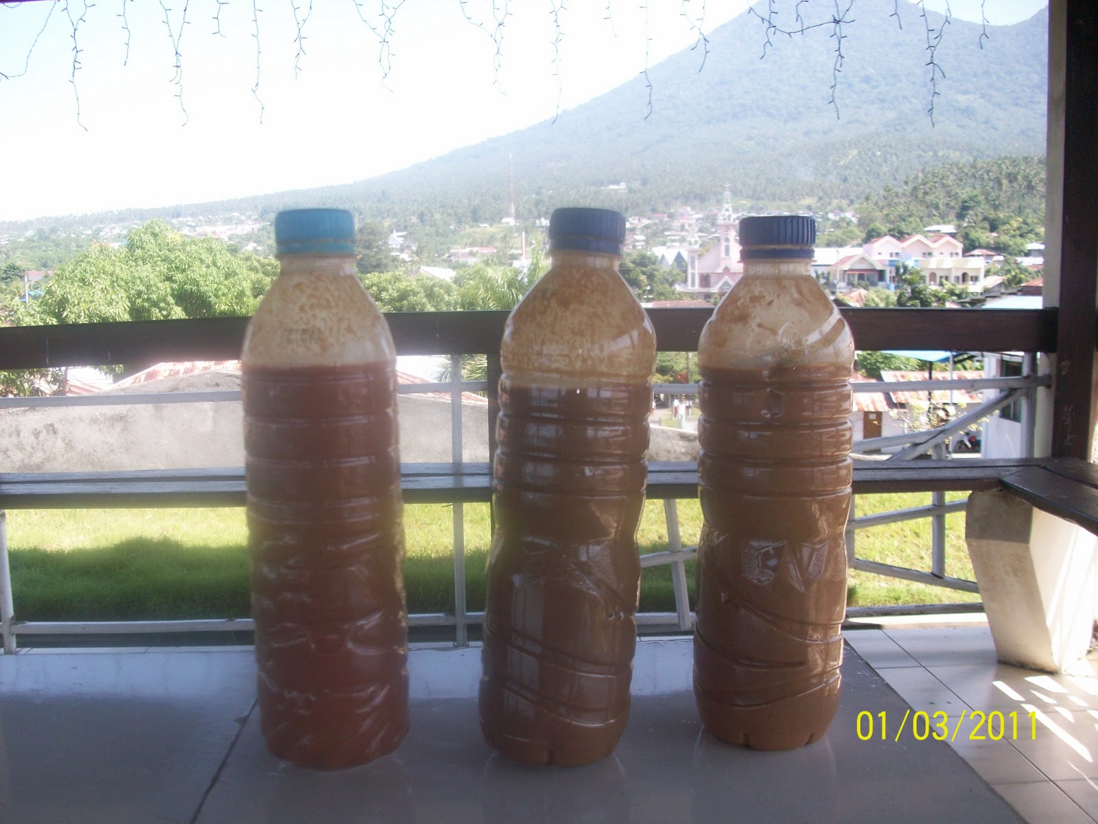 Dewi Ikan: PENGOLAHAN BAKASANG TELUR CAKALANG