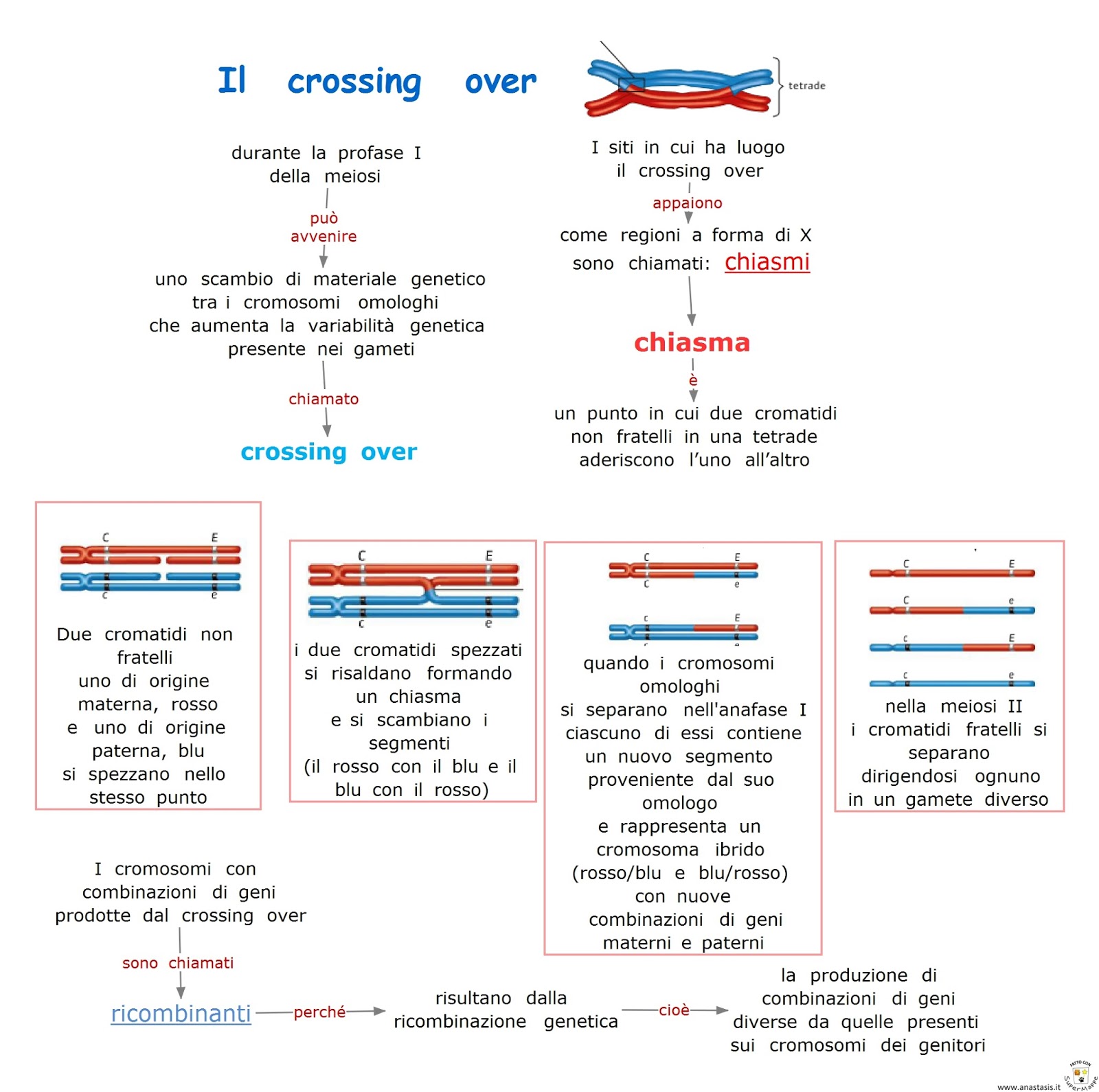 Paradiso delle mappe: Il crossing over