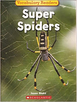 12 Spectacular Spider Books for Kids {with teaching ideas!} - Mrs ...