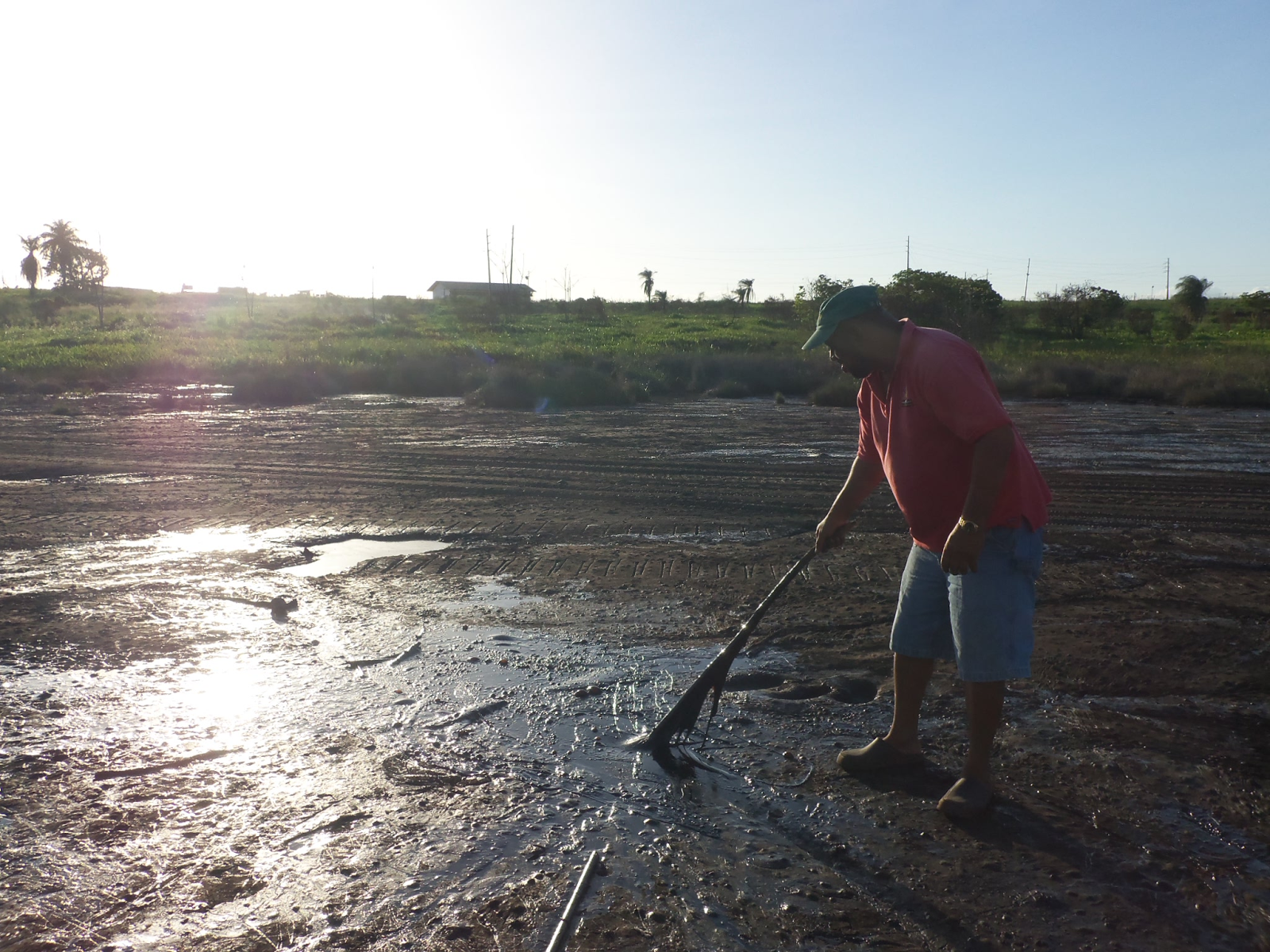 Places of Interest in Trinidad: The Pitch Lake