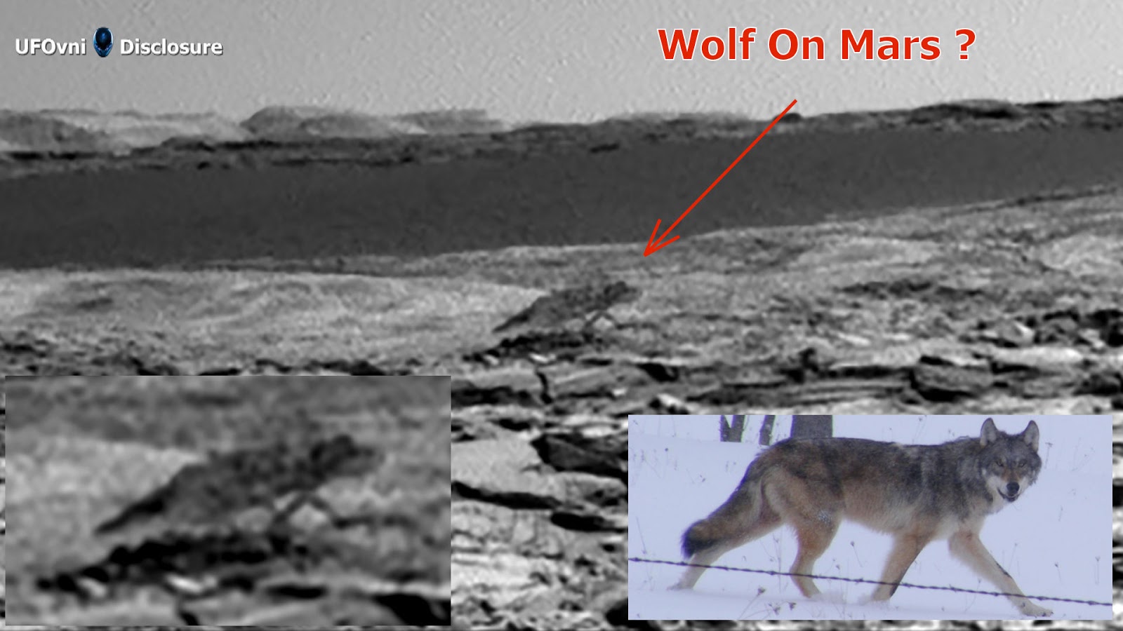 Mars ‘Wolf’ photographié par Curiosity Mars Rover, le 25 octobre 2015