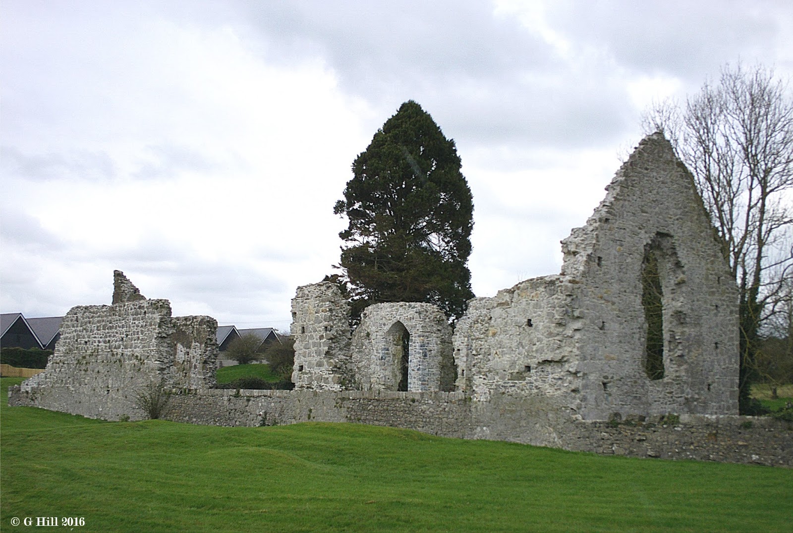 Ireland In Ruins: The Grey Abbey Co Kildare