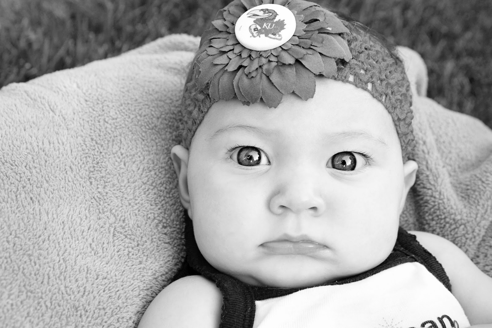 Kelly Knapp Photography