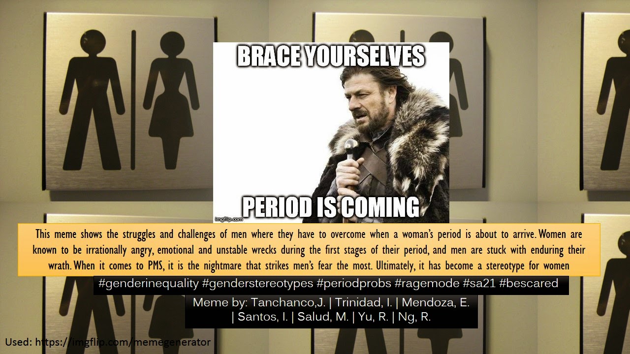SA21 Fieldworks: Gender Inequality Memes