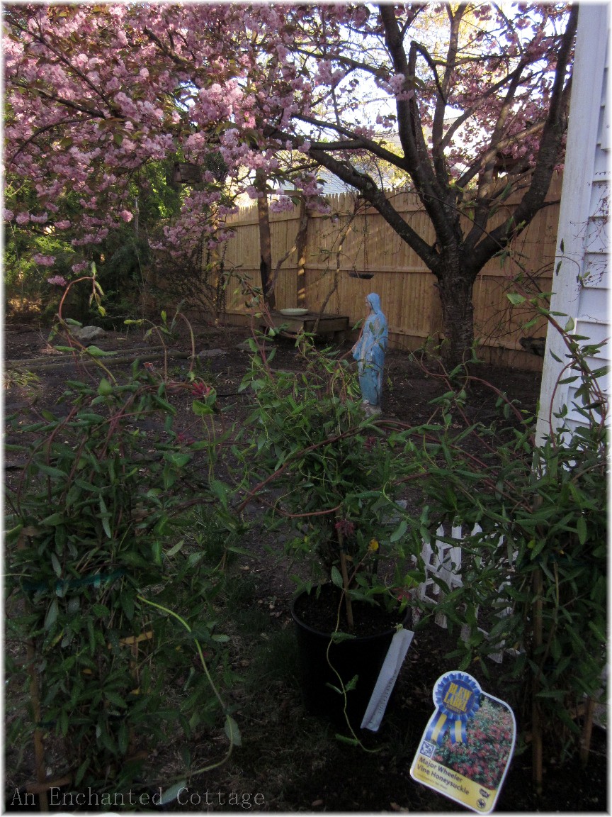 An Enchanted Cottage: Our pink flowering hoppa crab trees are in full ...