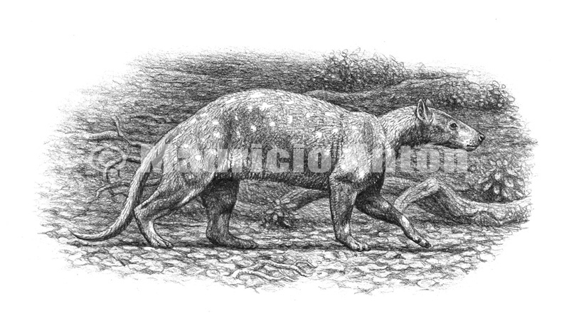 Escenarios prehistóricos: Pleuraspidotherium