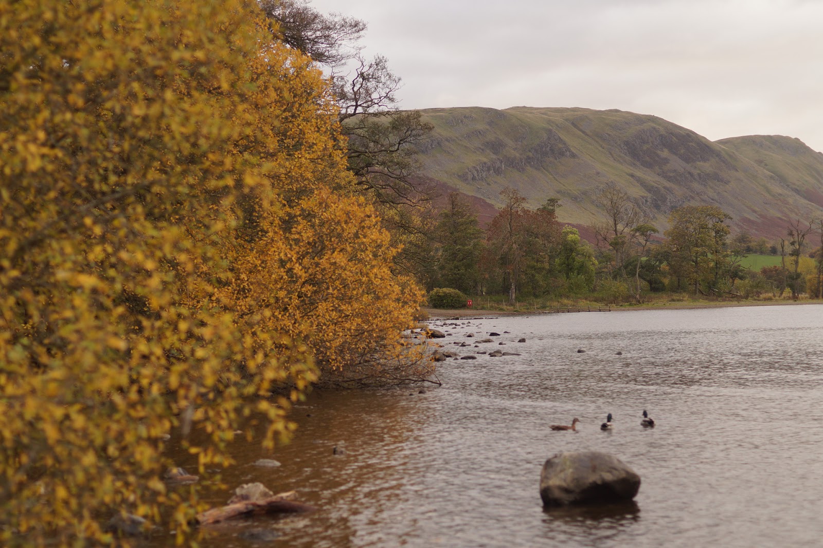 Pooley Bridge, Ullswater in Autumn Glory - Sophie in the Sticks