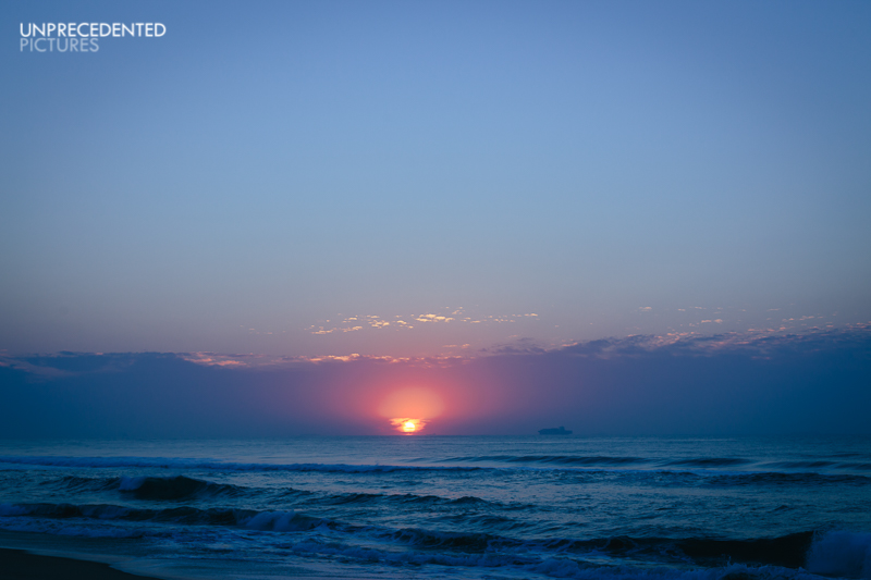 UNPRECEDENTED PICTURES: Steve & Cass