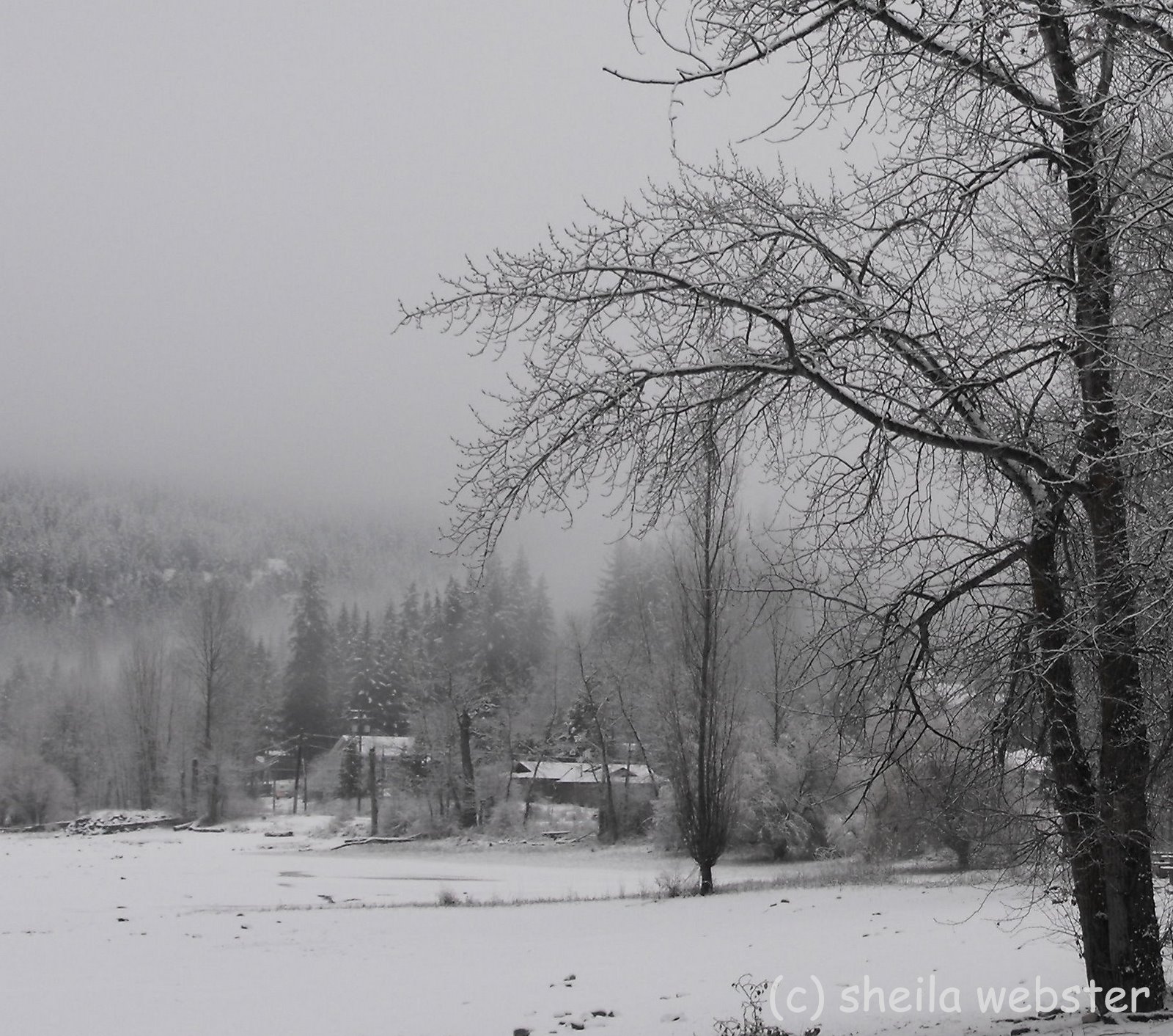 we-love-kamloops: Blind Bay ~ Shuswap Lake, BC ~ Canada