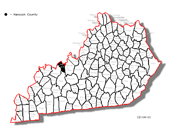 Ancestrally Challenged: Research Plan: Hancock County, Kentucky