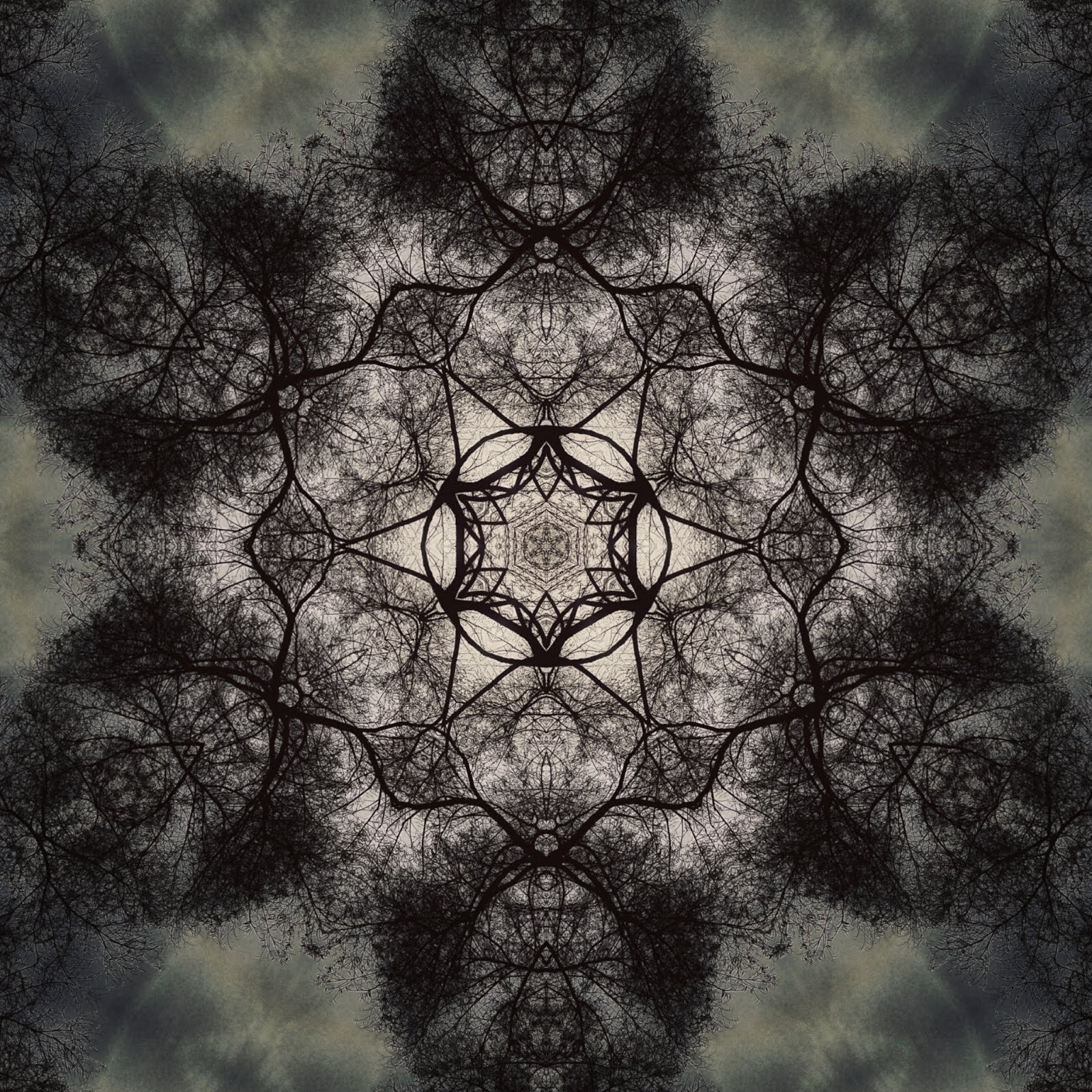 The Cryptic Corridor