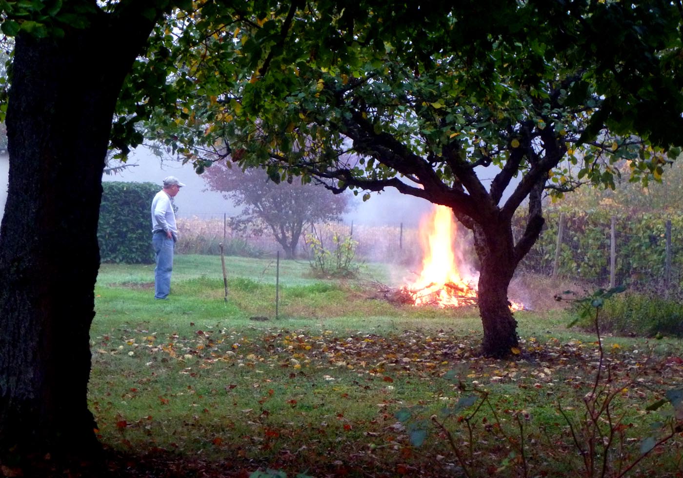 Living the life in Saint-Aignan: Chard not charred
