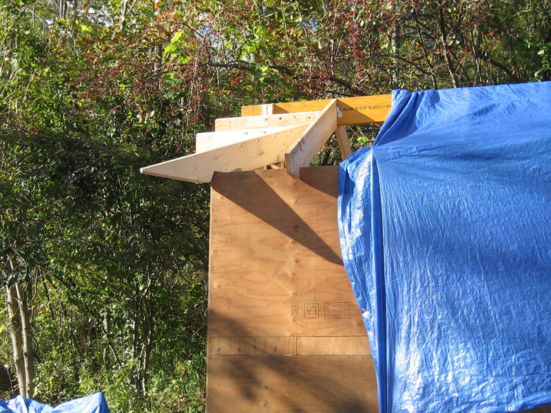 RiverEdge: Roof Rafters 5