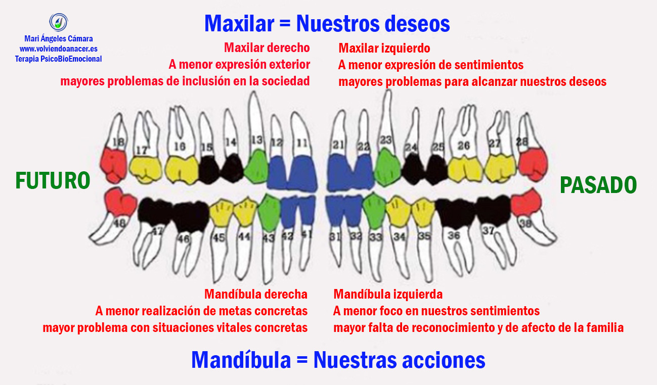 SYLFOS DEVA Esencias Florales: febrero 2018