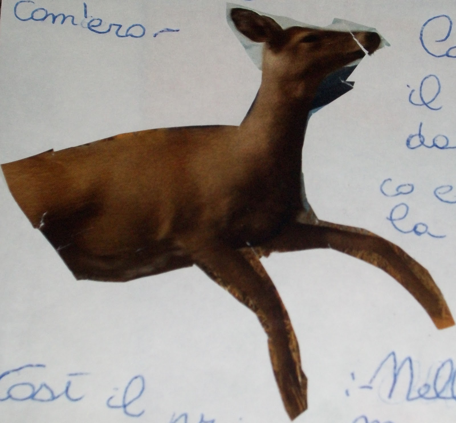 La quindicesima Musa: La metamorfosi di un cerbiatto