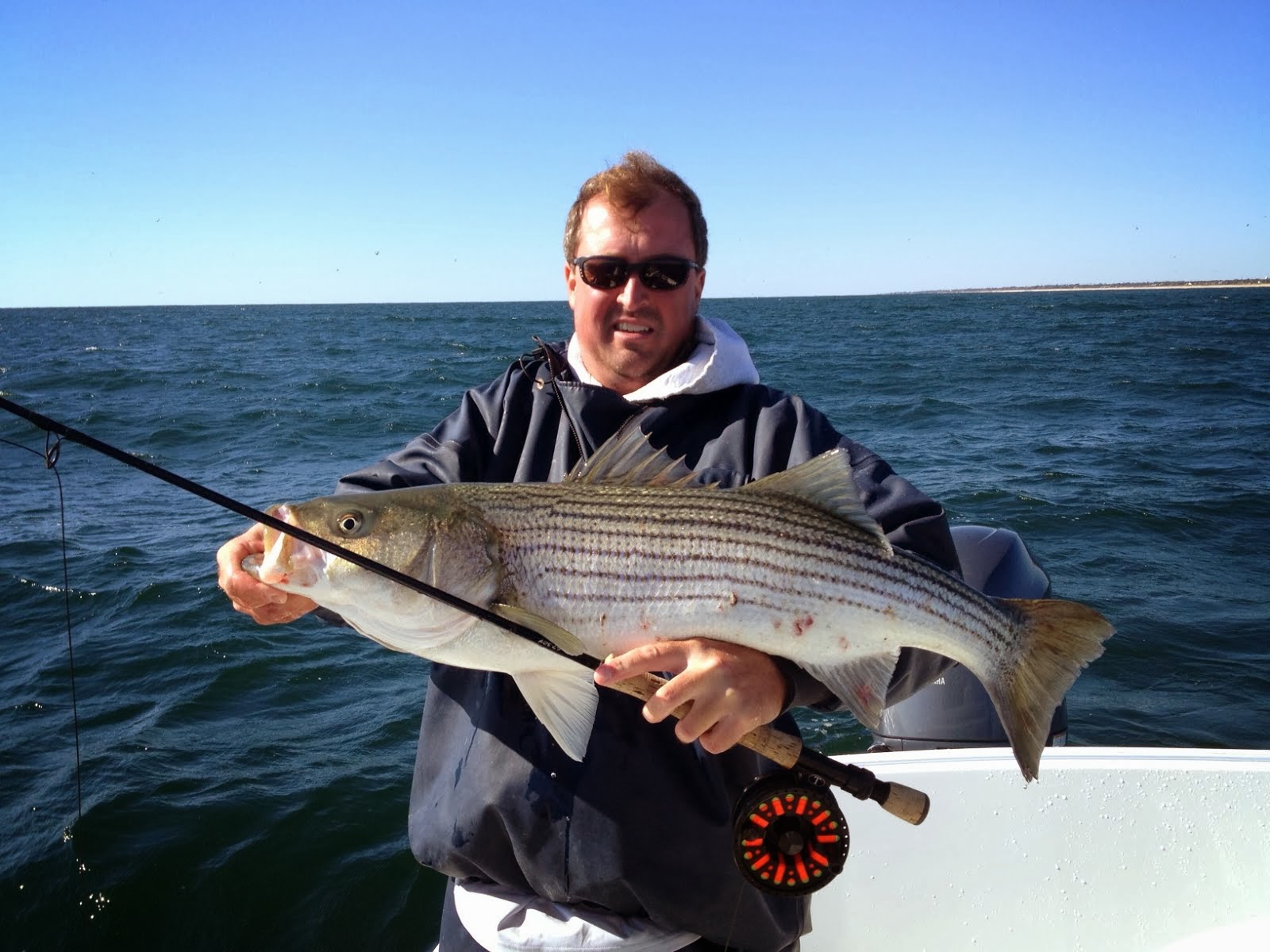 Montauk Weakfish?