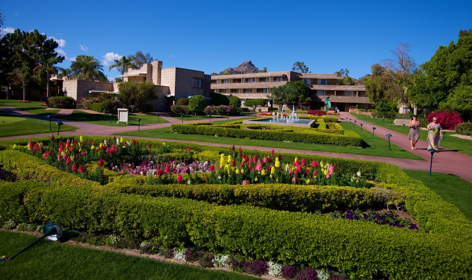 Thistle Dew Too: Desert Botanical Garden and other sites
