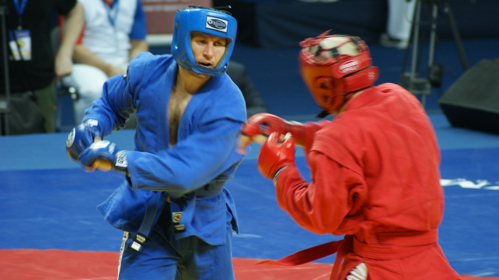 .: FIQUE POR DENTRO - COMBAT SAMBO