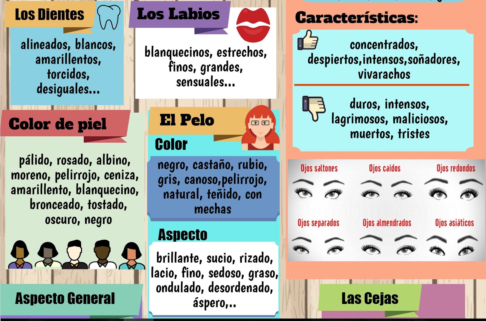 AULA QUINTO CEIP BESANA: LENGUA. Tema 7- Descripción de personas