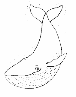balena, balena albastra, balene, imagini de colorat ~ Desene Imagini de ...