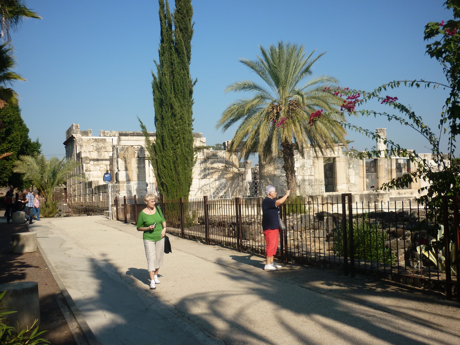 Walking the Jesus Trail