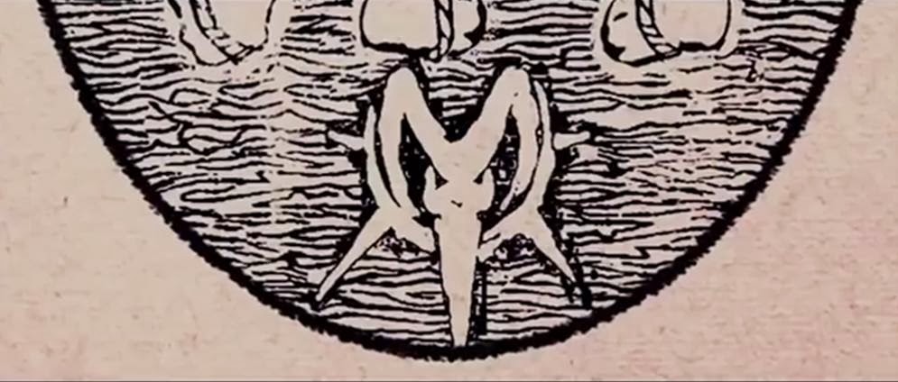 Gaurav, Mia, Jake and Holly Media Coursework: Film Demon Comparison