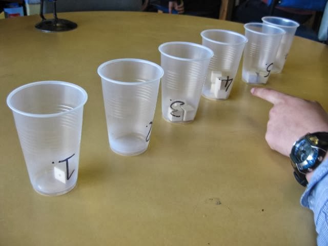 Authentic Inquiry Maths: Probability With Our Kindergarten Buddies