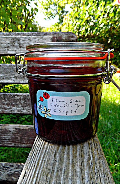 Chez Maximka: Plum, sloe and vanilla jam