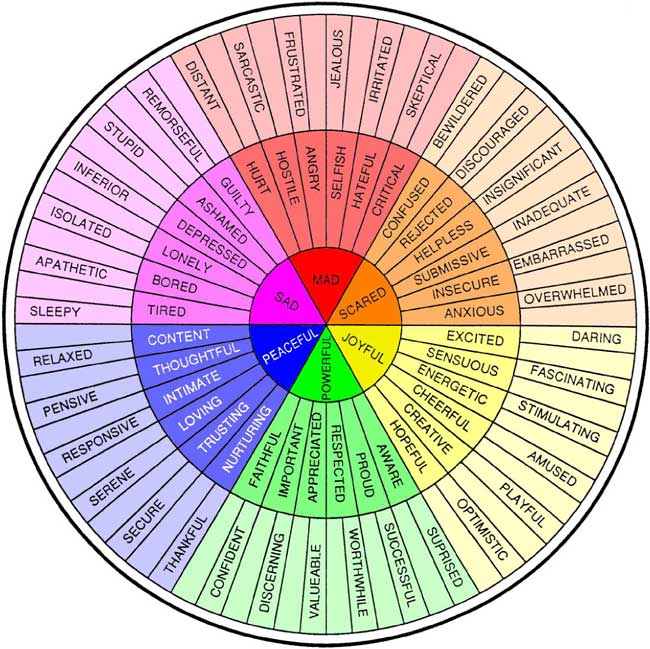 English Step by Step: The feeling wheel