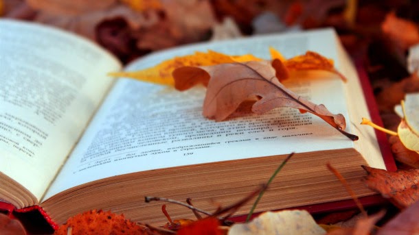 Delicious Reads: 5 Books to Cozy Up with this Fall
