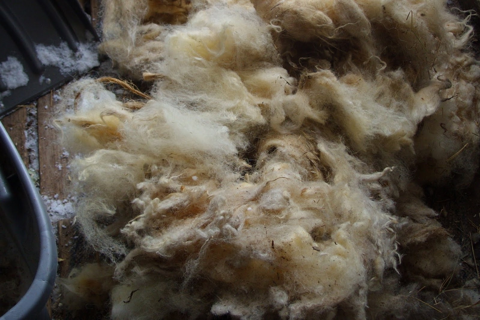 Forest House Farm: Washing Wool
