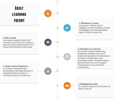 The Road to Grammar Blog: Adult Learning Theory Infographic
