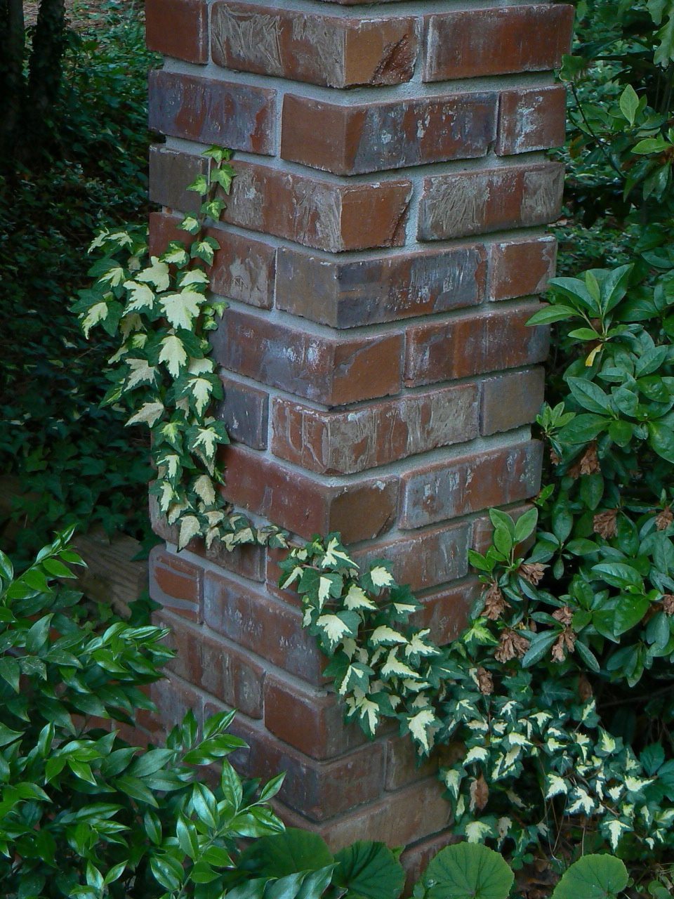 Garden Photo Today: A green thumb and a gold heart